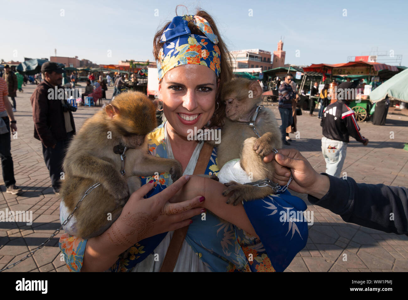 Beautiful brunette woman portrait with a headscarf and two monkeys in ...