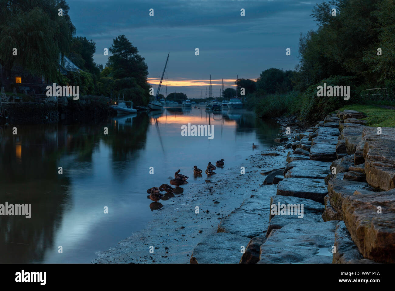 Wareham wall hi-res stock photography and images - Alamy