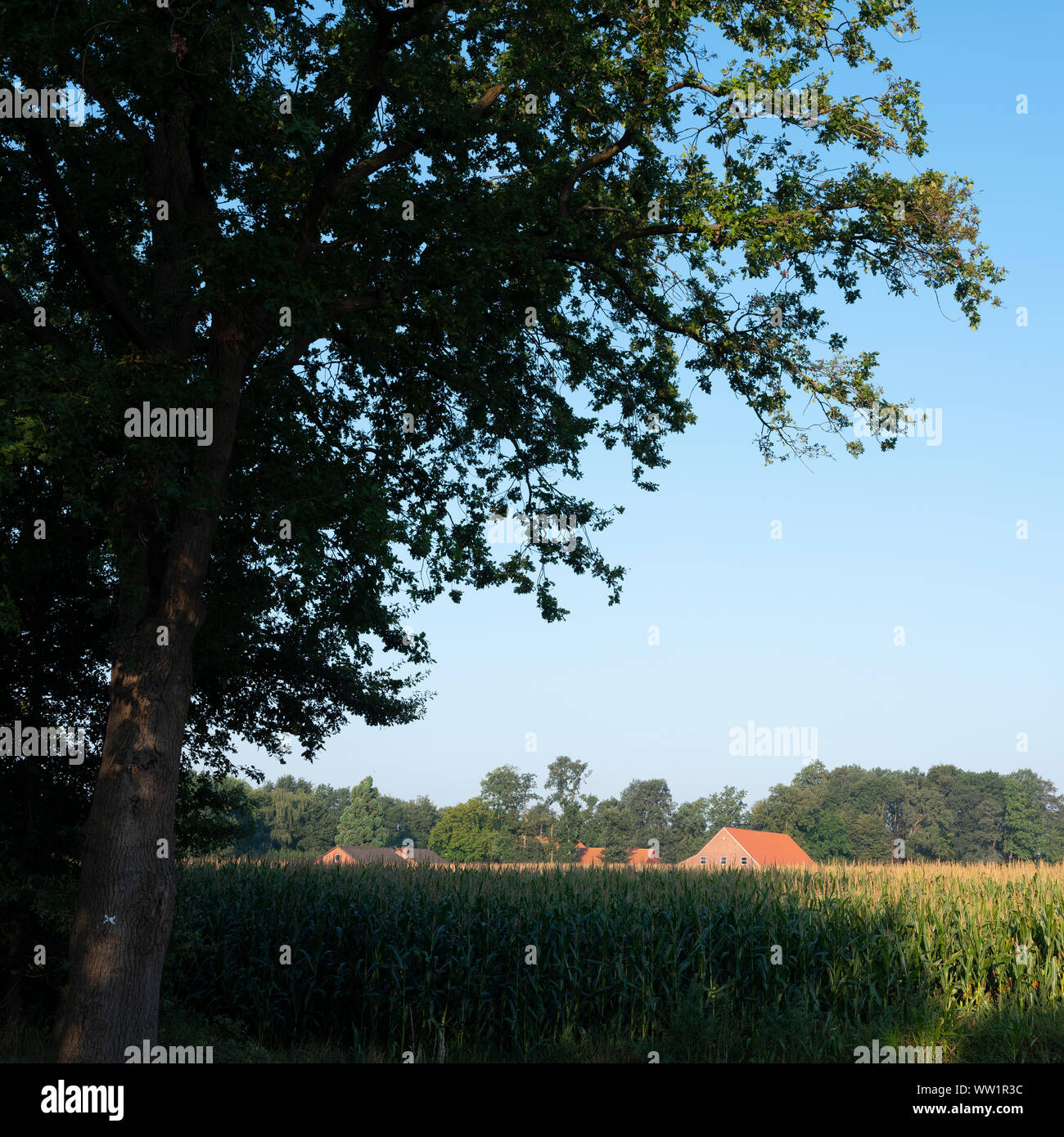 Rural scene in lower saxony hi-res stock photography and images - Alamy