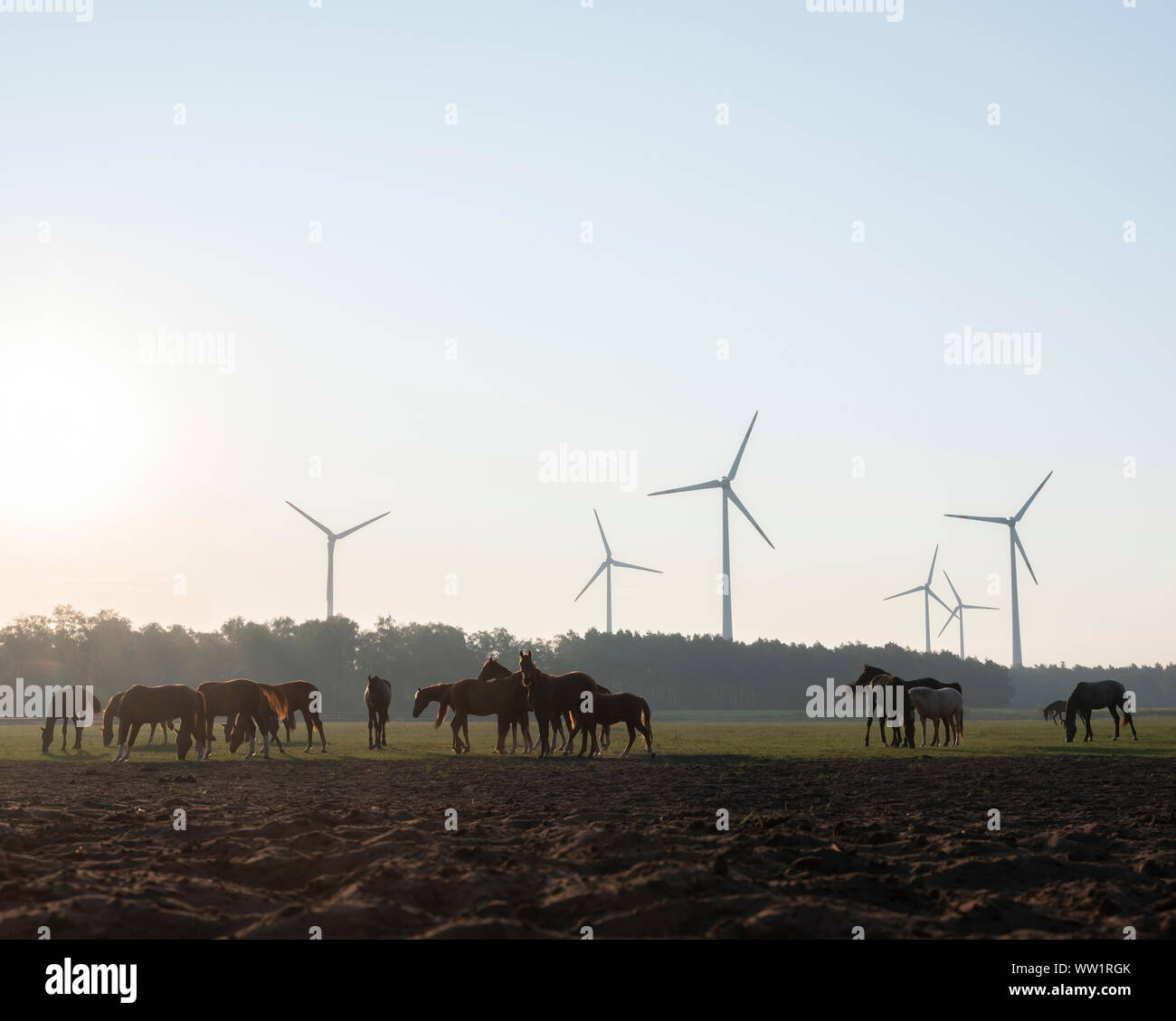 Onshore wind farm landscape hi-res stock photography and images - Alamy