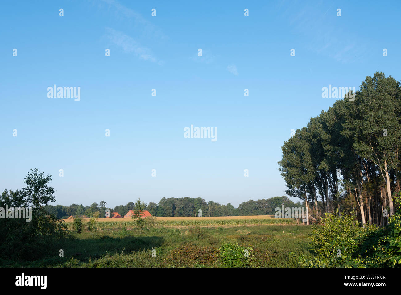 Rural scene in lower saxony hi-res stock photography and images - Alamy