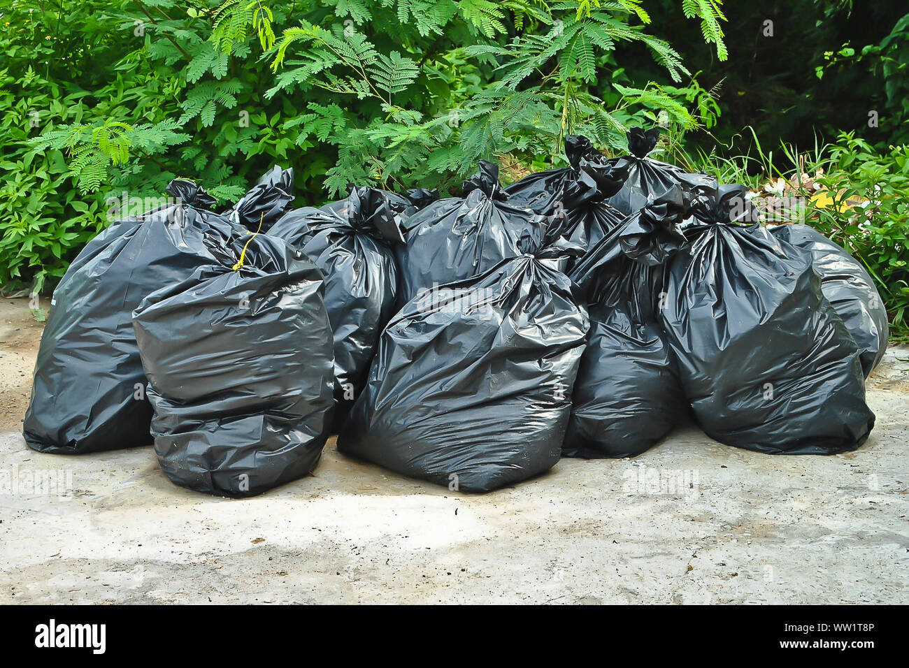 Black polythene bag hi-res stock photography and images - Alamy