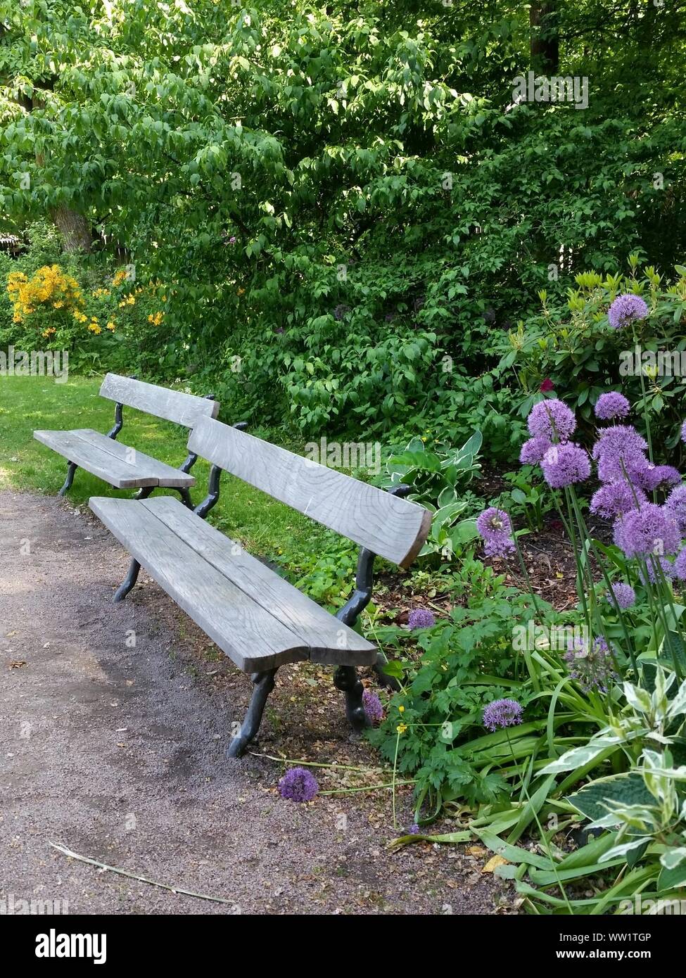 Two park benches hi-res stock photography and images - Alamy
