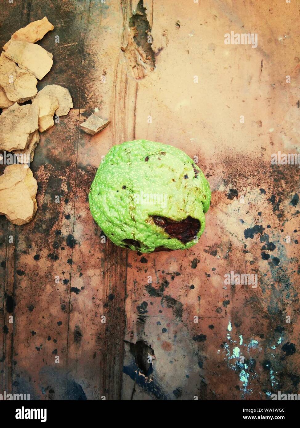 Rotten guava hi-res stock photography and images - Alamy