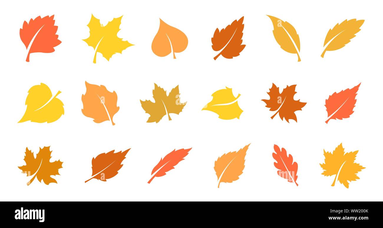 Autumn leaves set Stock Vector Image & Art - Alamy