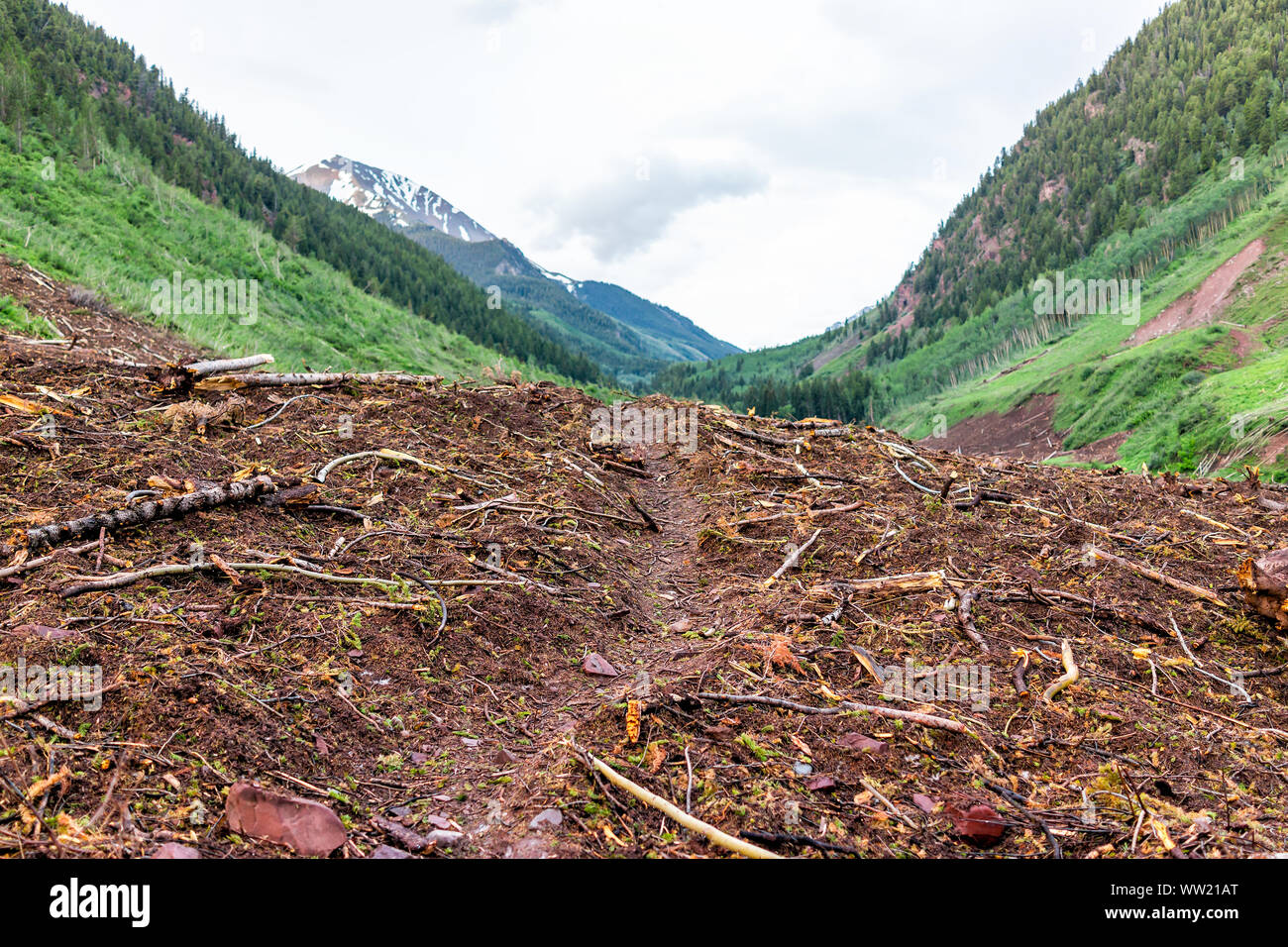 Avalanche debris on path road on Conundrum Creek Trail in Aspen ...