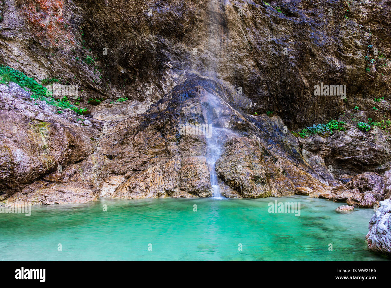 Drop log hi-res stock photography and images - Alamy