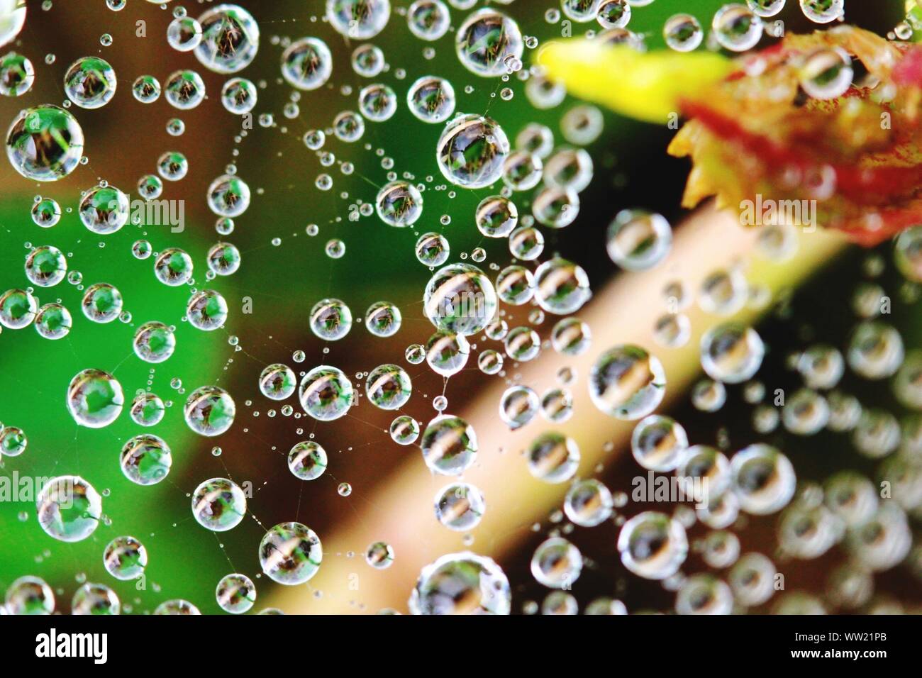 Tank bubbles hi-res stock photography and images - Alamy