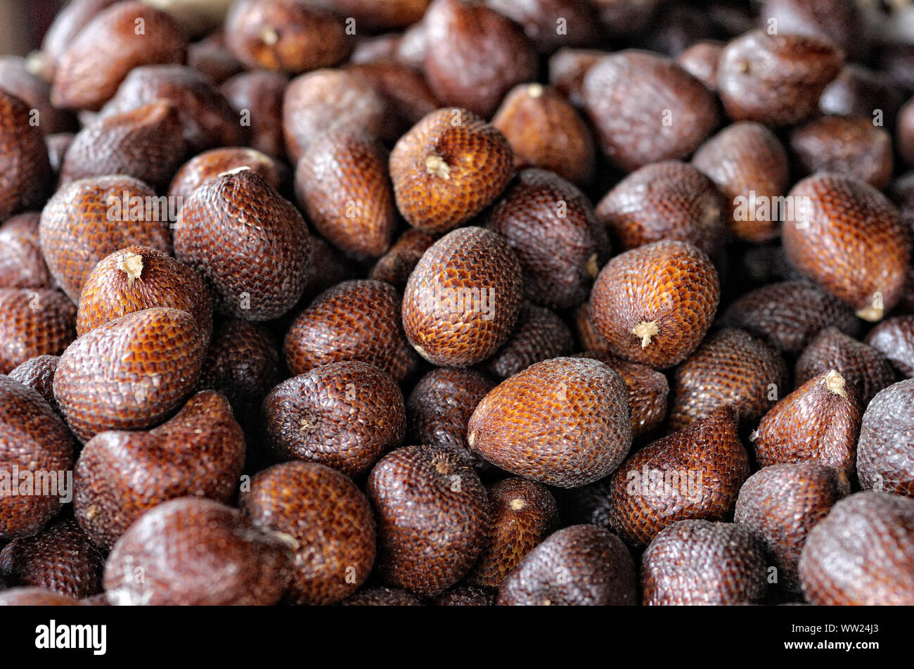 Snake fruits hi-res stock photography and images - Alamy