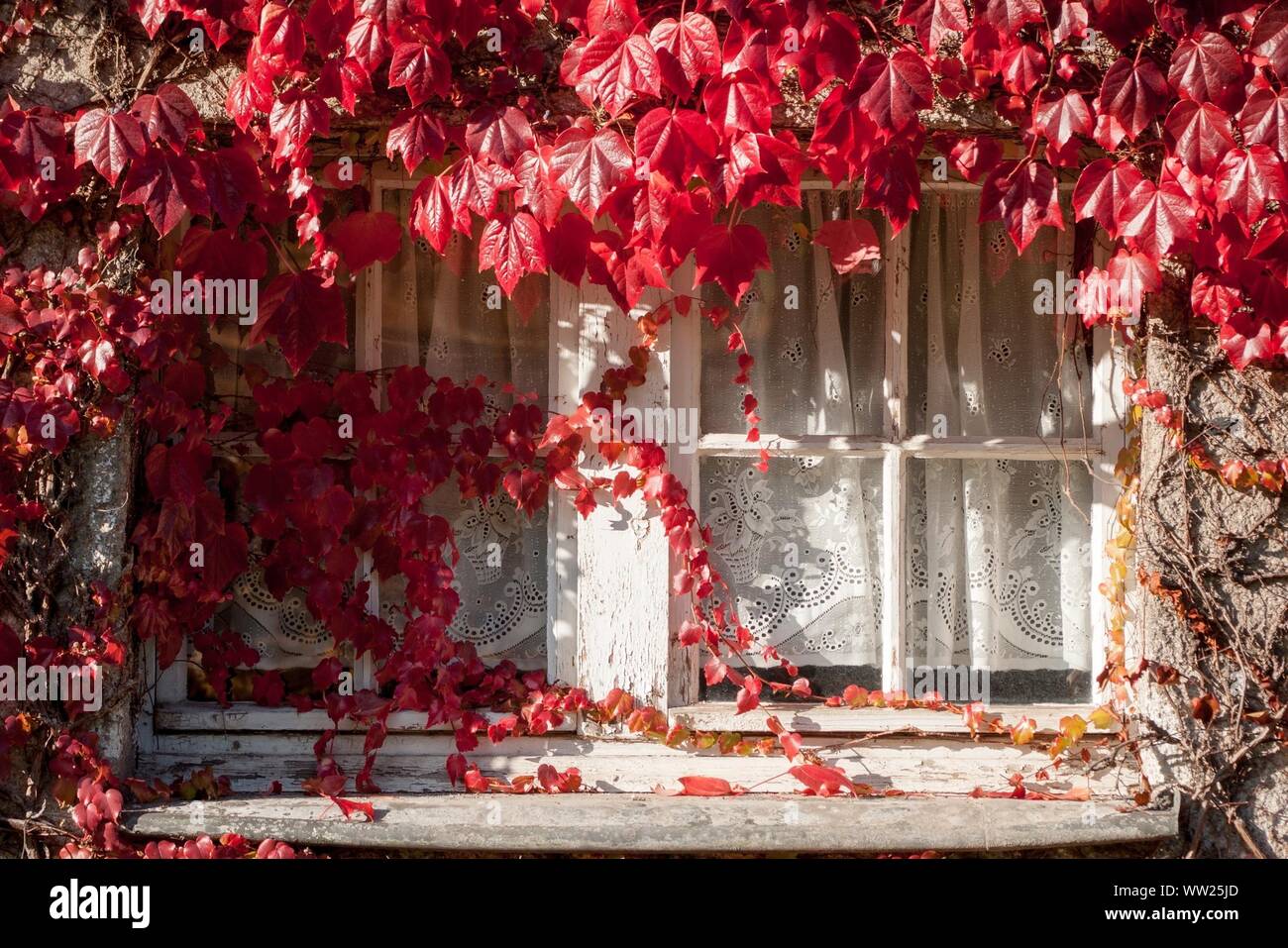Covering house exterior hi-res stock photography and images - Alamy