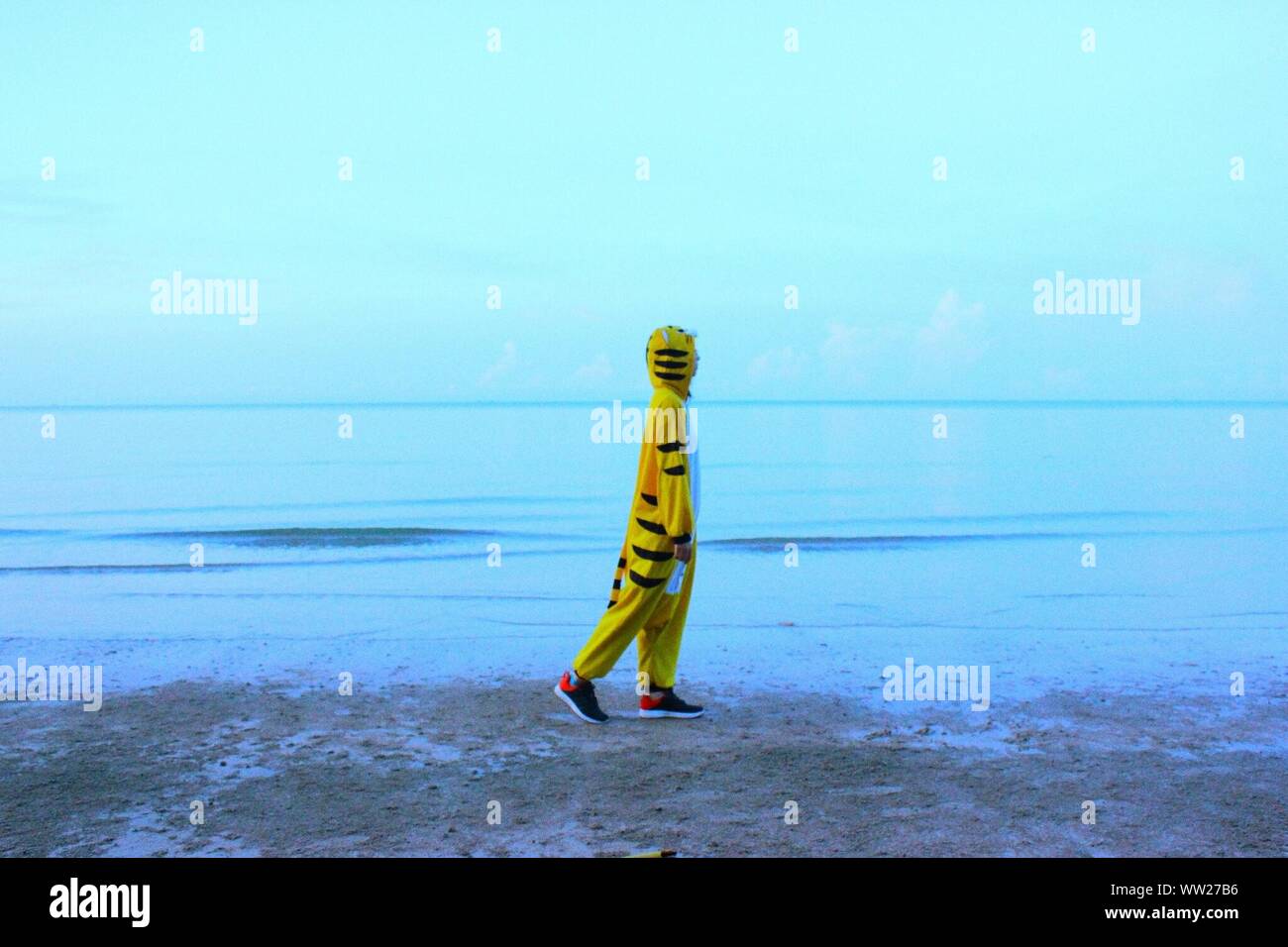 Tiger with person hi-res stock photography and images - Alamy