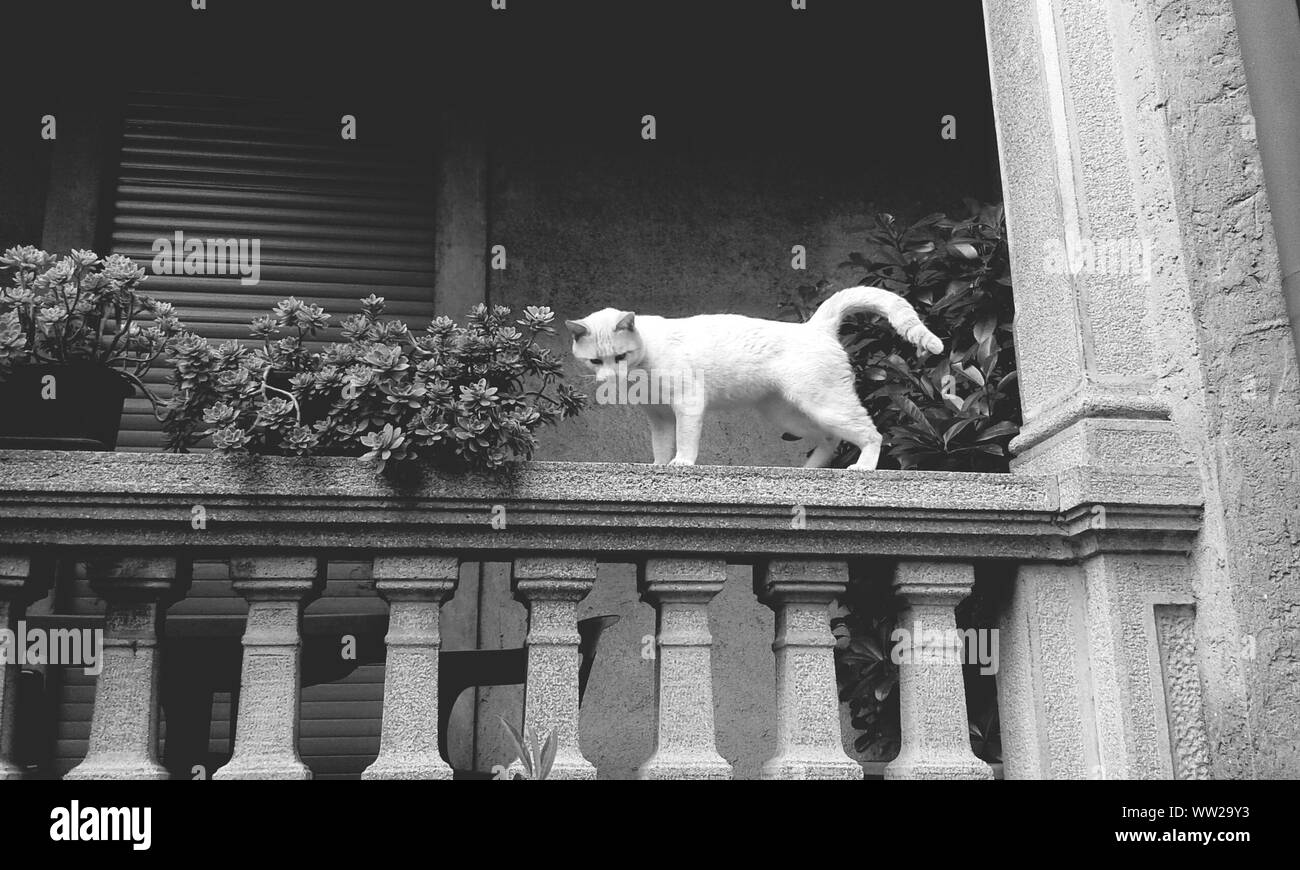 Balcony railing hi-res stock photography and images - Alamy