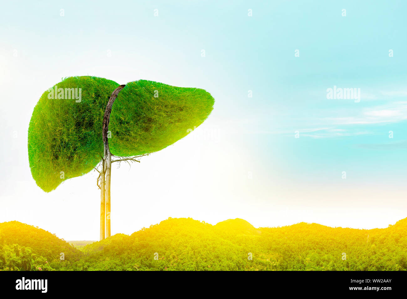 Realistic liver images are human green tree shapes about diseases and ...