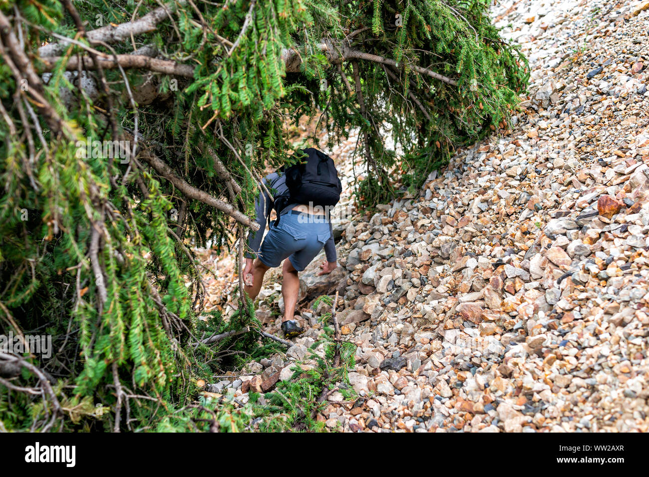 Climbing under fallen tree hi-res stock photography and images - Alamy