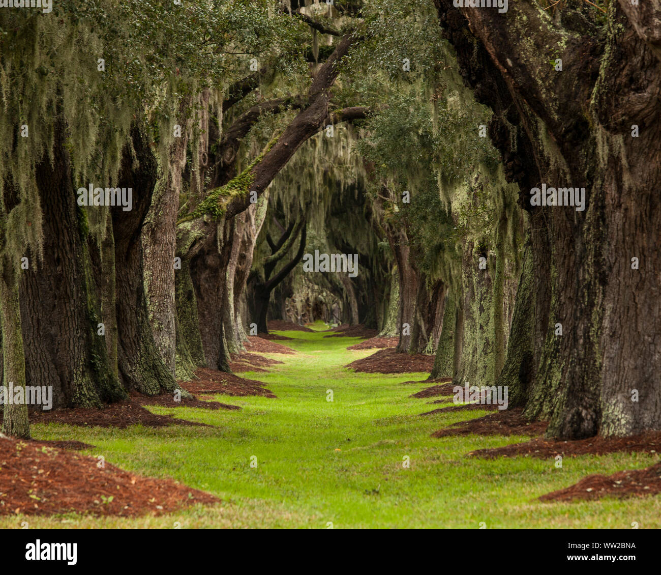 Long distance walk destination hi-res stock photography and images - Alamy