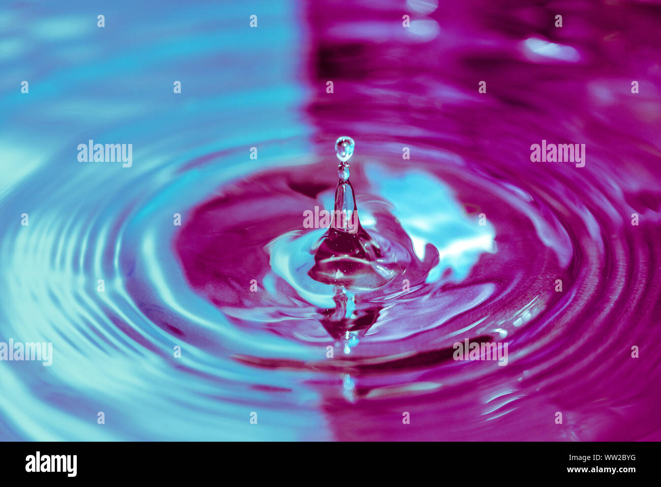 Splash of water with drops as background, closeup, purple and blue ...