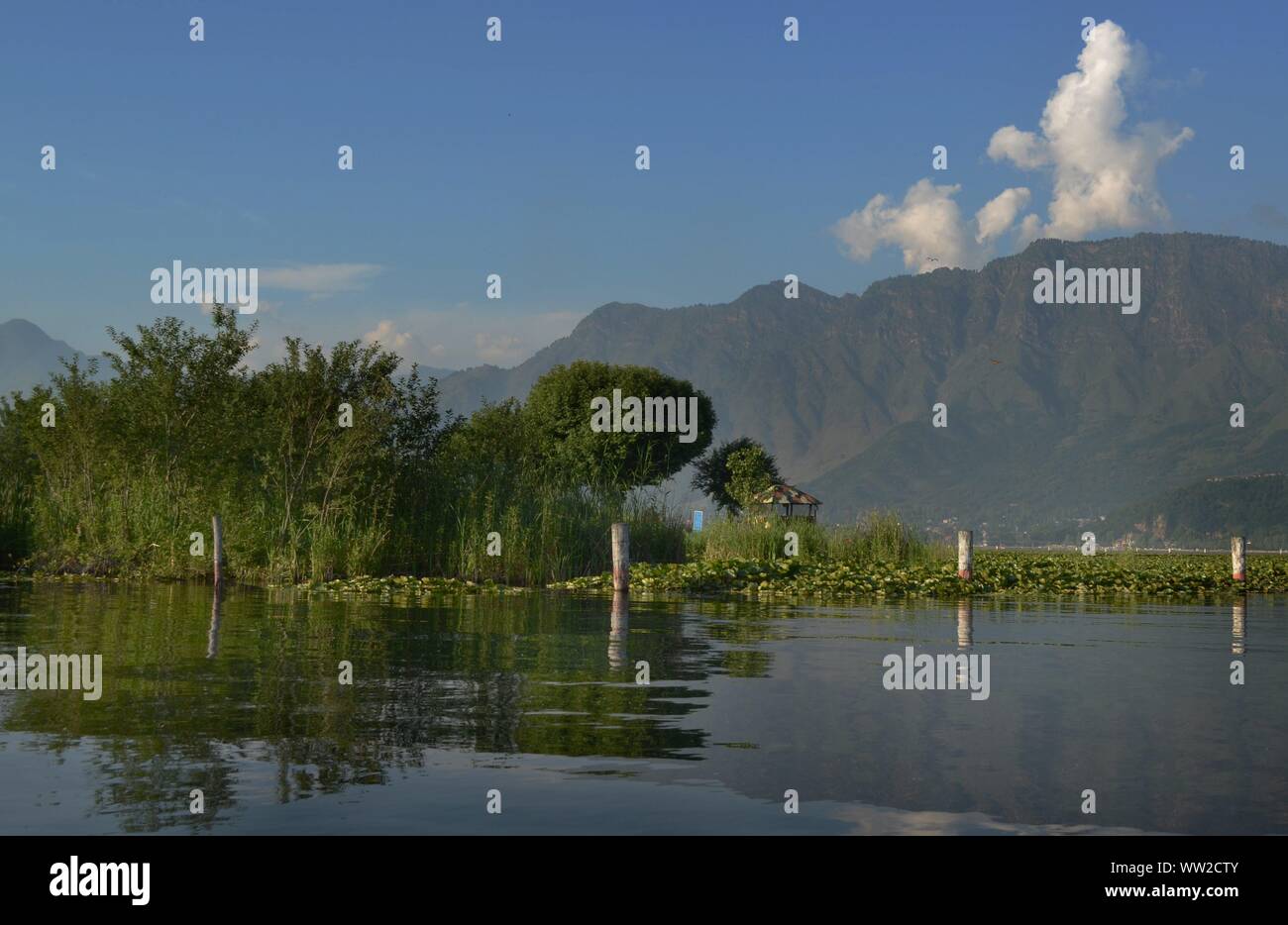 The tourism of Europe in the Indian part of the Himalayas, in the ...