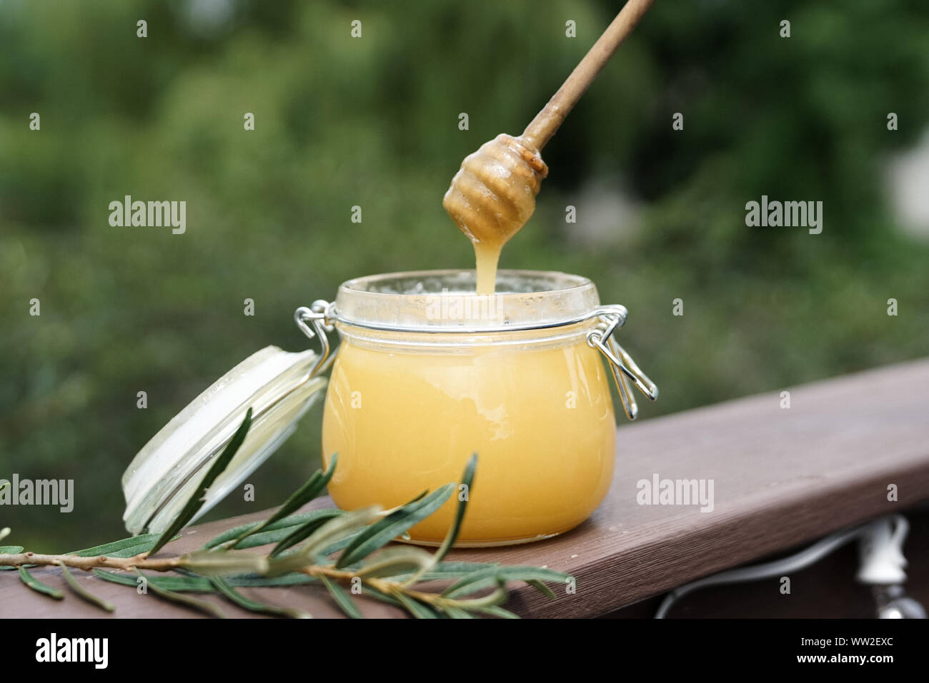 Small Honey Jar in Nature Stock Photo - Alamy