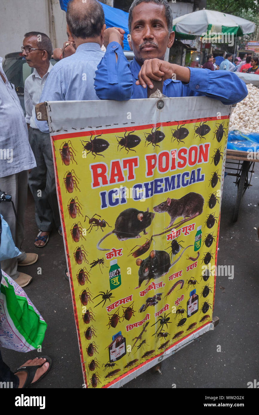 Rat infestation hi-res stock photography and images - Alamy