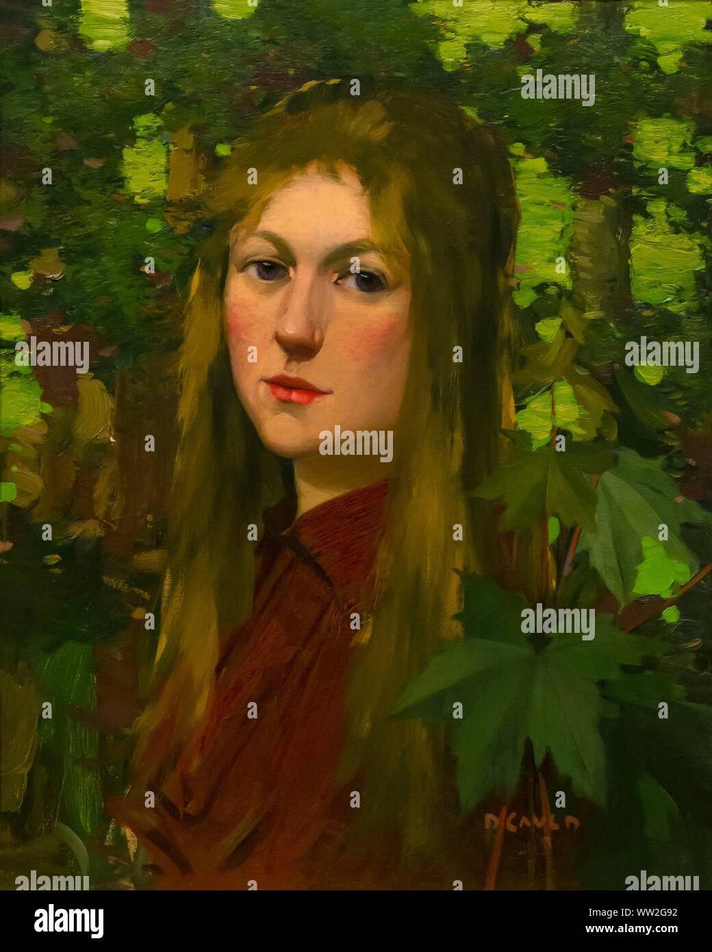 Gauld david hi-res stock photography and images - Alamy