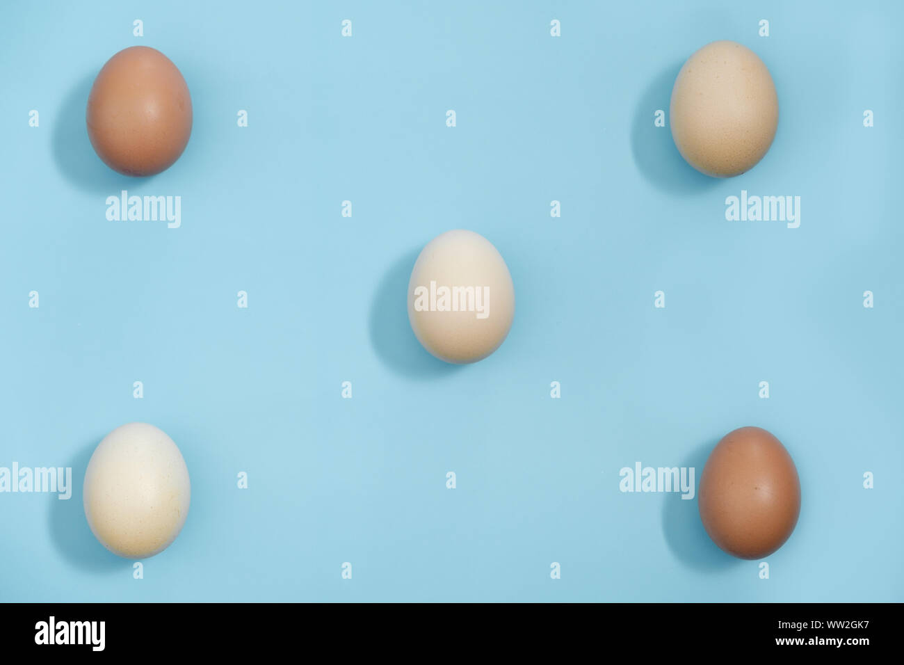 Top view - Five Eggs isolated on blue background, Egg is beneficial to ...