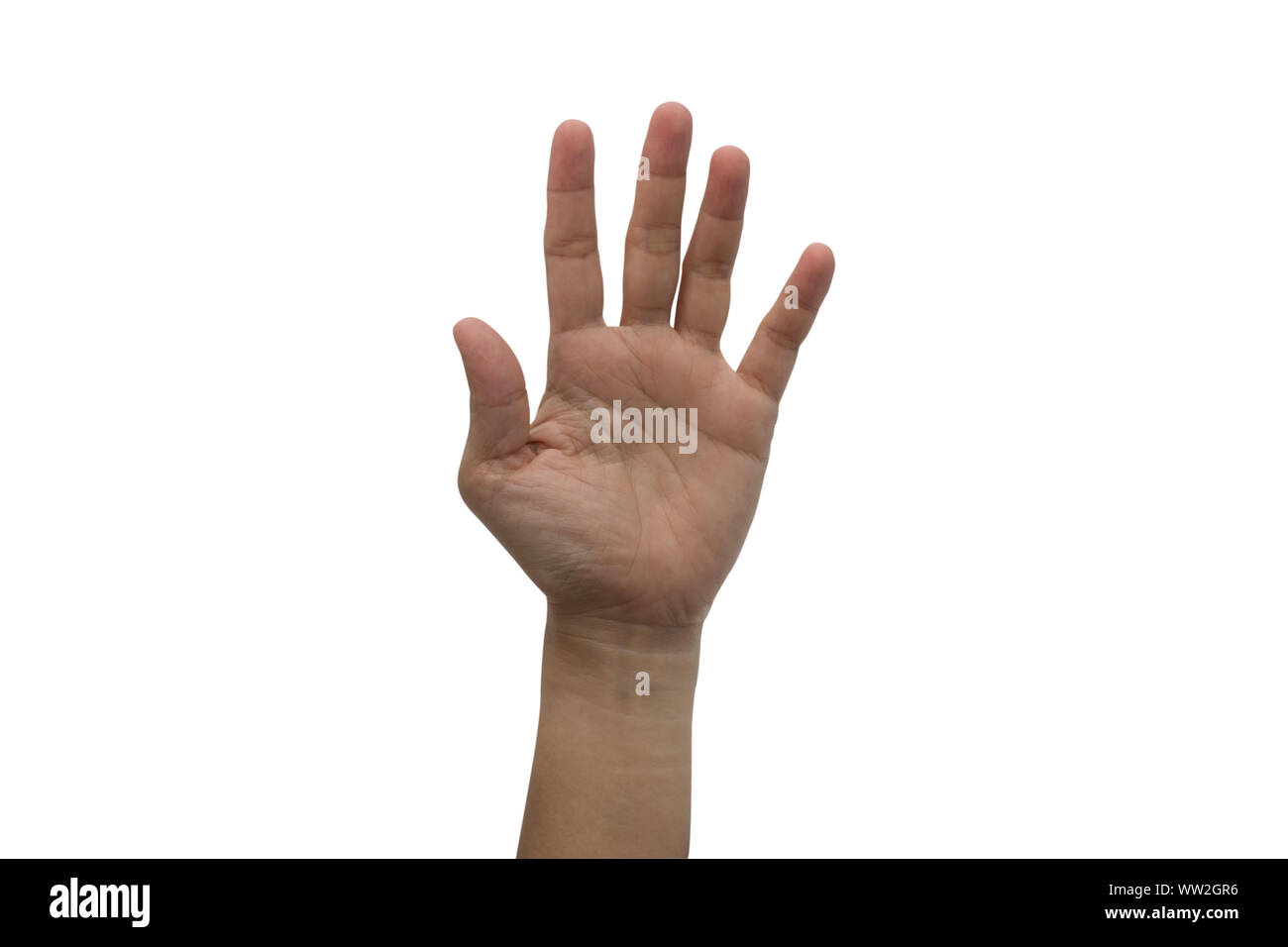 One hand raised high up isolated on white background Stock Photo - Alamy
