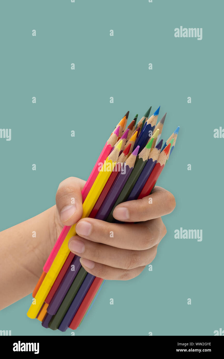 Hands holding a bunch of pencils on a green background Stock Photo - Alamy