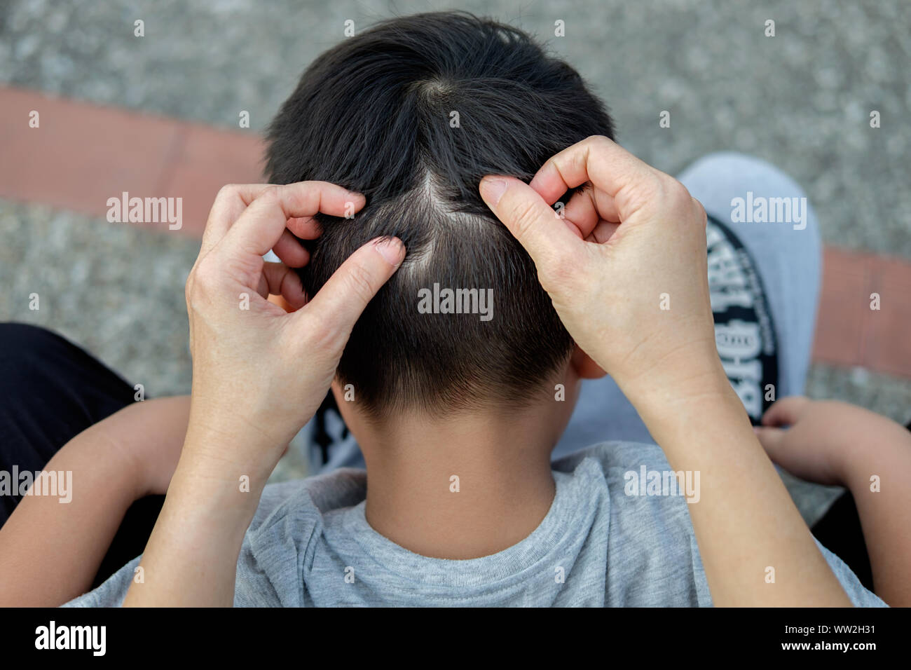 Mother is catching hair to find lice and treatment hair in children ...