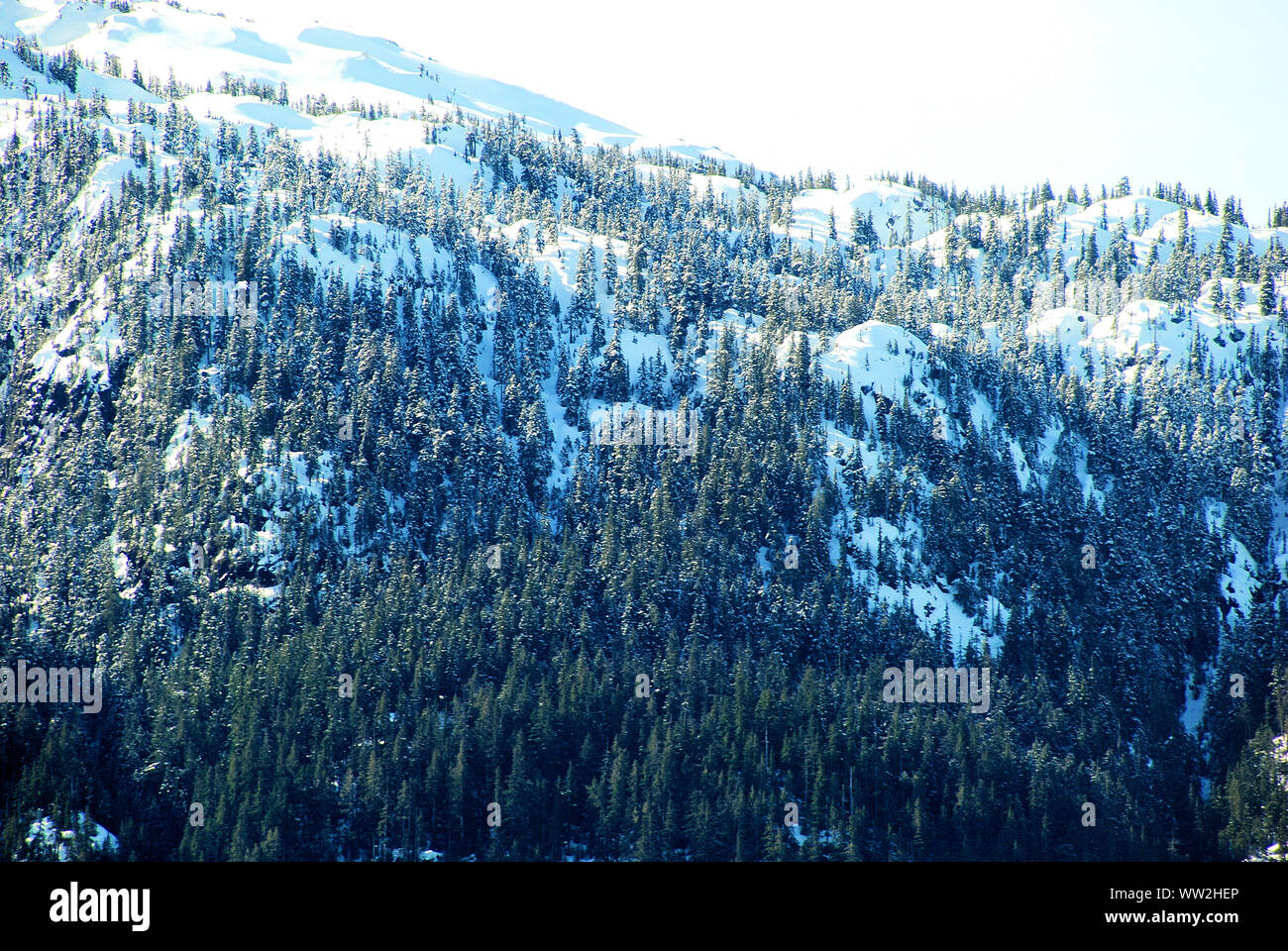 Summit of stawamus chief hi-res stock photography and images - Alamy