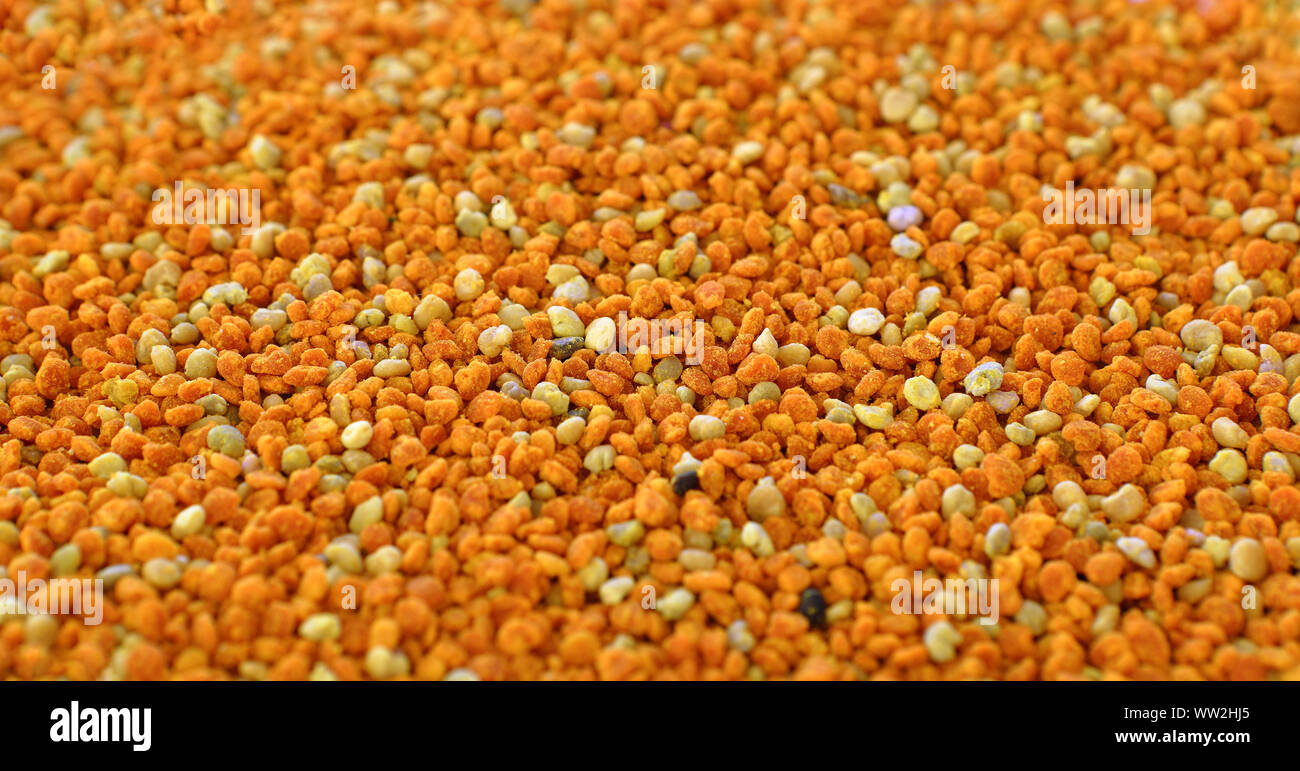 Pollen texture hi-res stock photography and images - Alamy