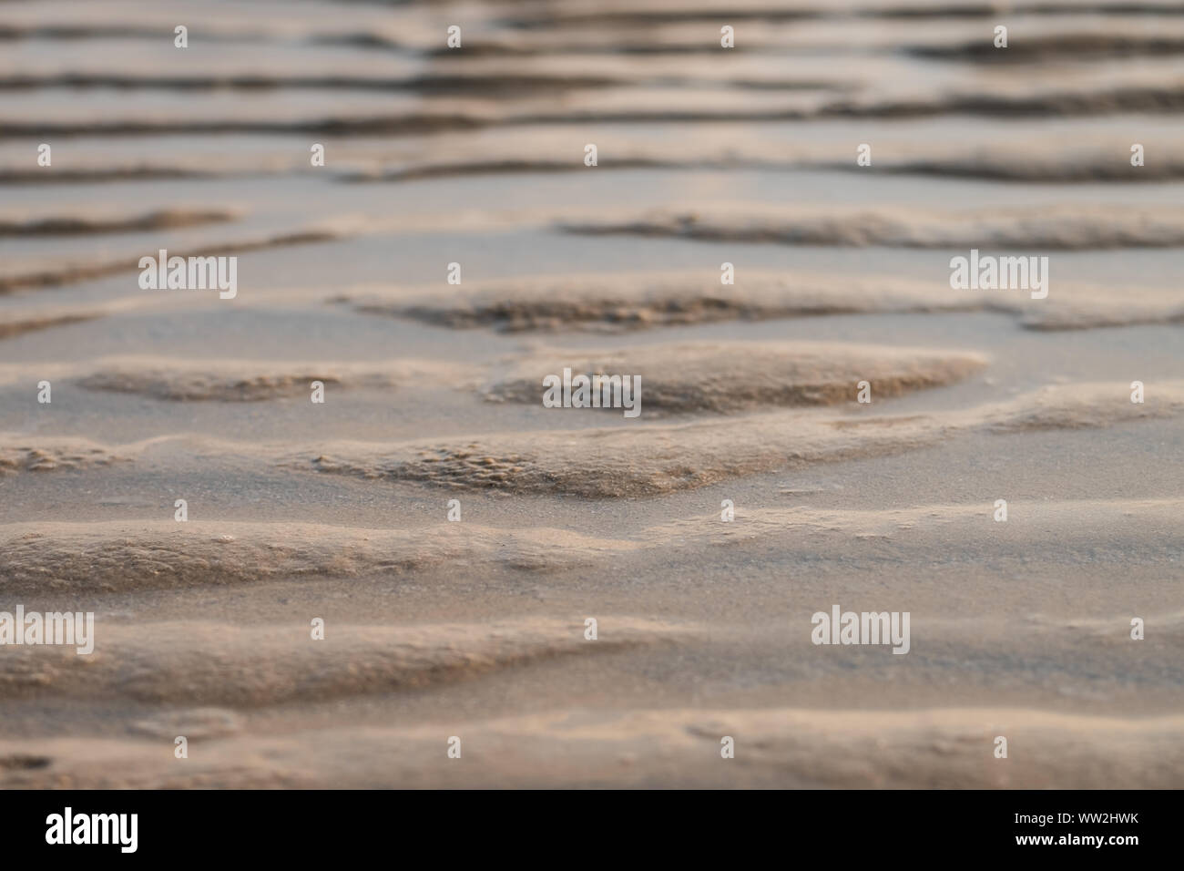 Wet sand beach texture for background Stock Photo - Alamy