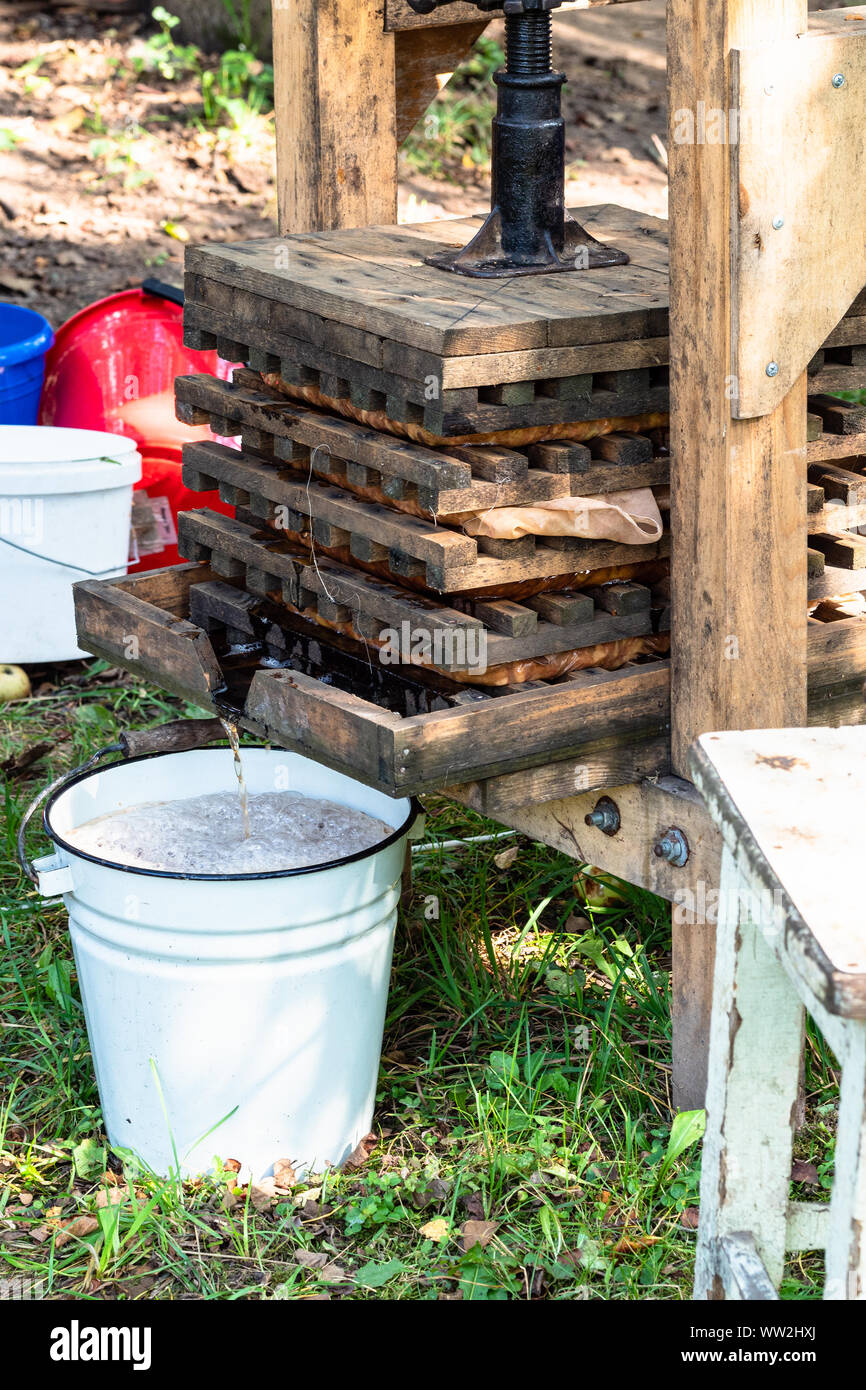 rural press and bucket with freshly squeezed apple juice to produce ...