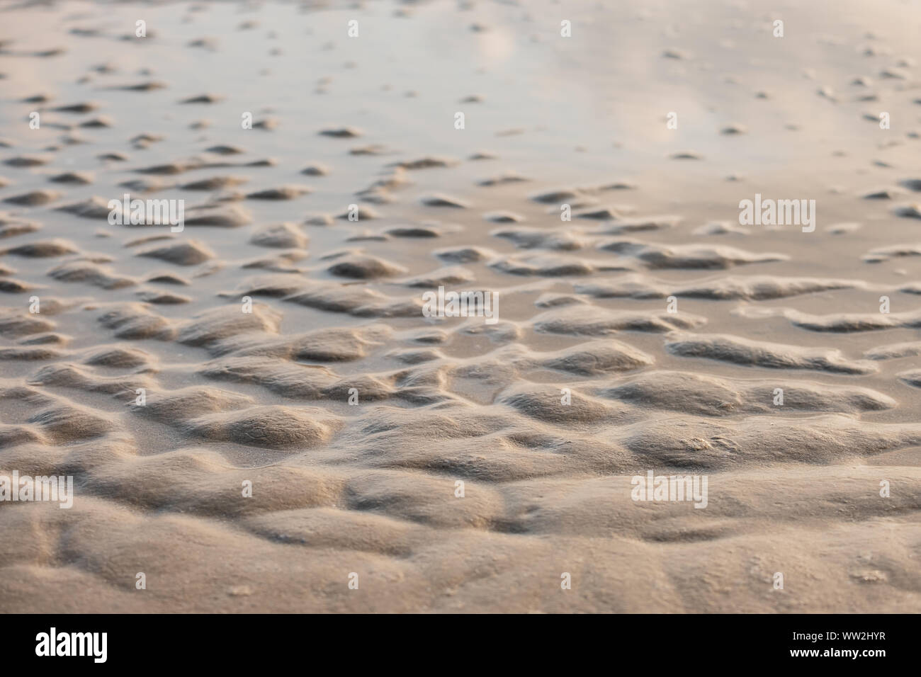 Wet Beach Sand Texture Wet Beach Sand Water Waves Texture Stock Photo