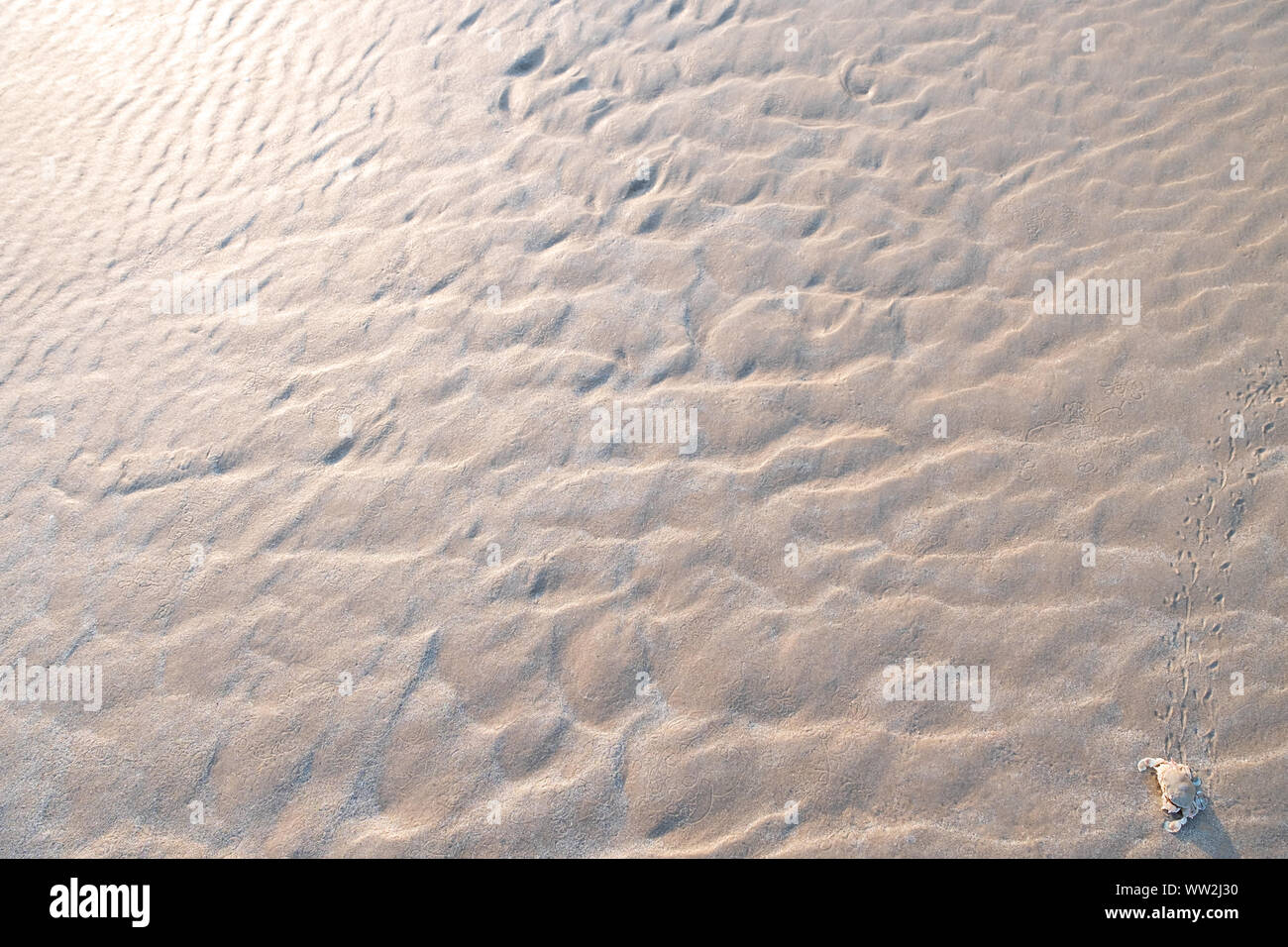 Wet sand beach texture for background Stock Photo - Alamy