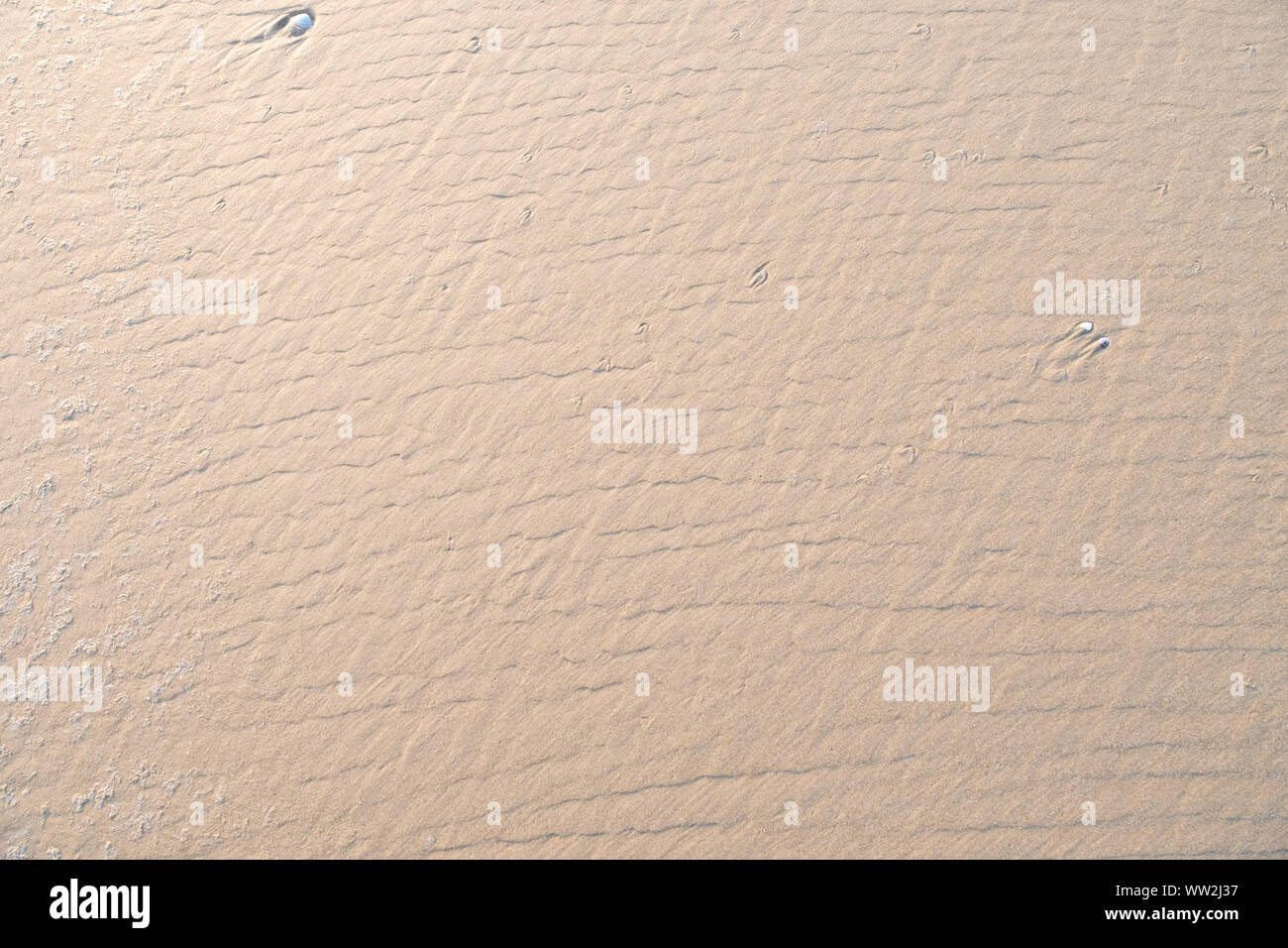Wet sand beach texture for background Stock Photo - Alamy