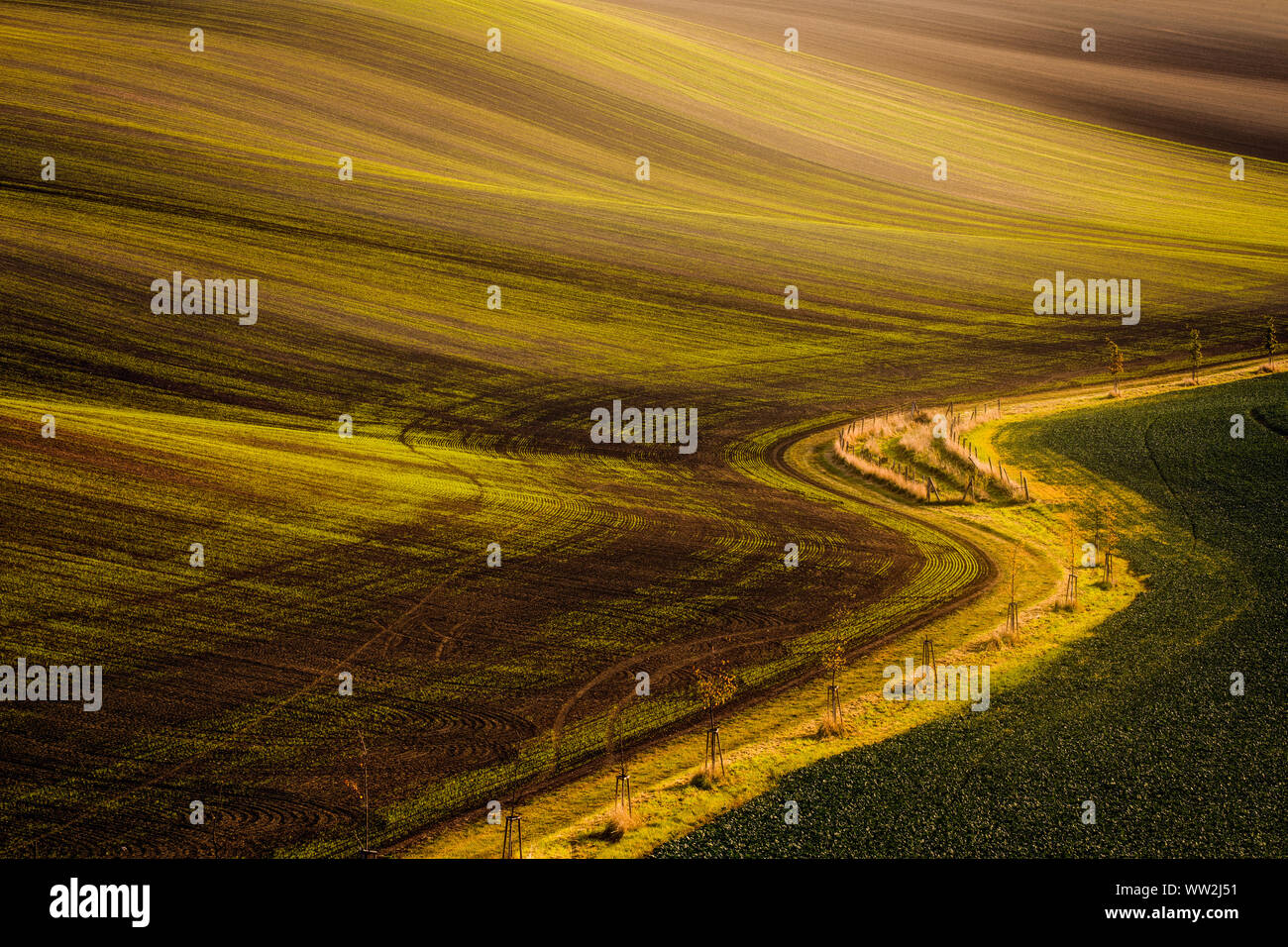Lone path between fields in Moravian Tuscany, Czech Republic Stock ...