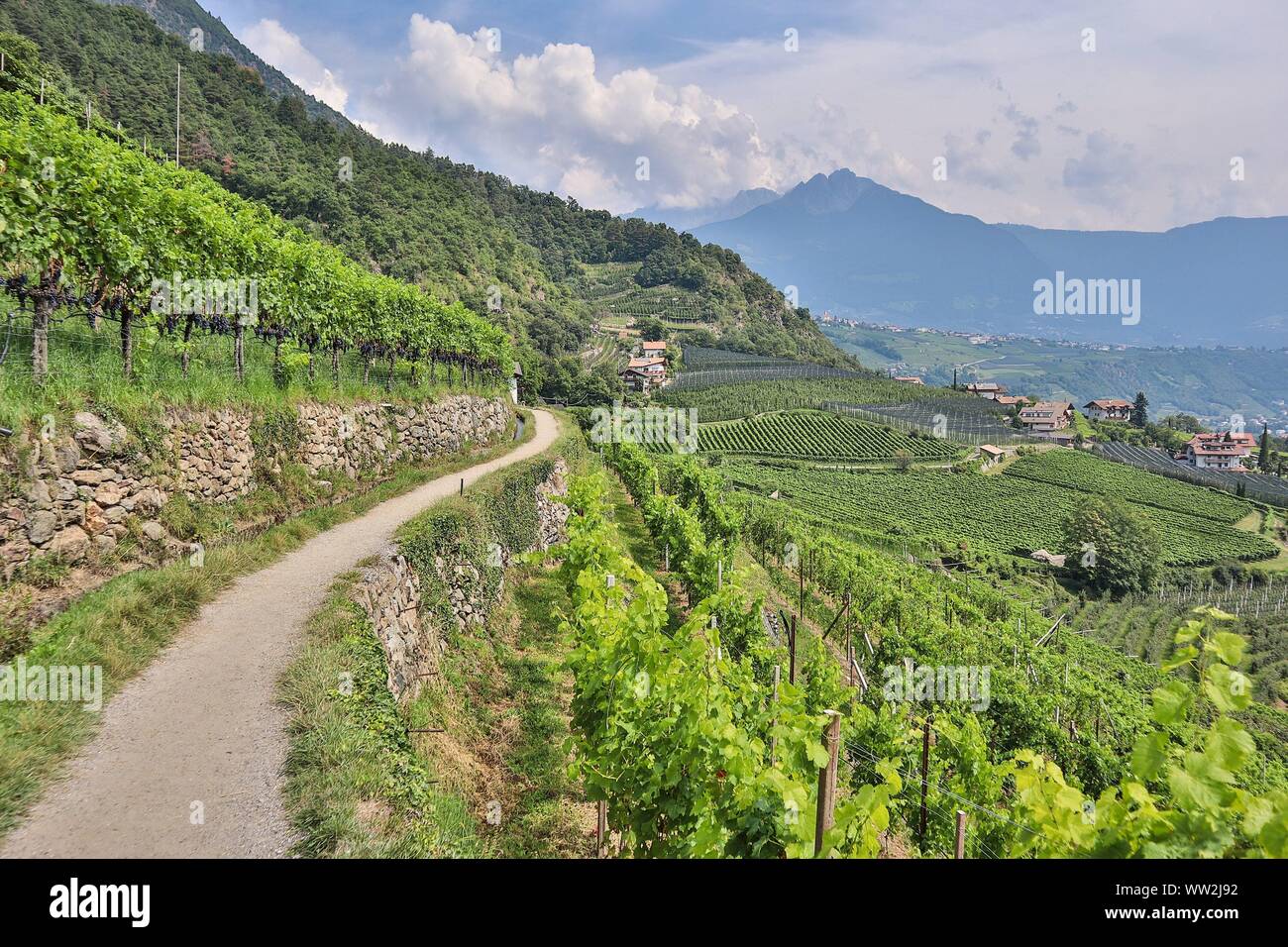 Merano And Surroundings, Italien. 29th Aug, 2019. Meran, Italy 2019 ...