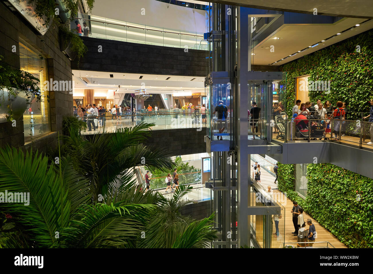 SINGAPORE - CIRCA APRIL, 2019: interior shot of Jewel Changi Airport ...