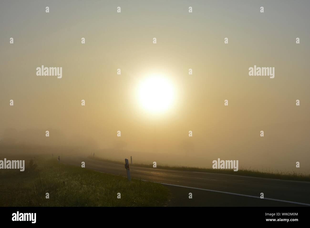 Road with fog at sunrise hi-res stock photography and images - Alamy