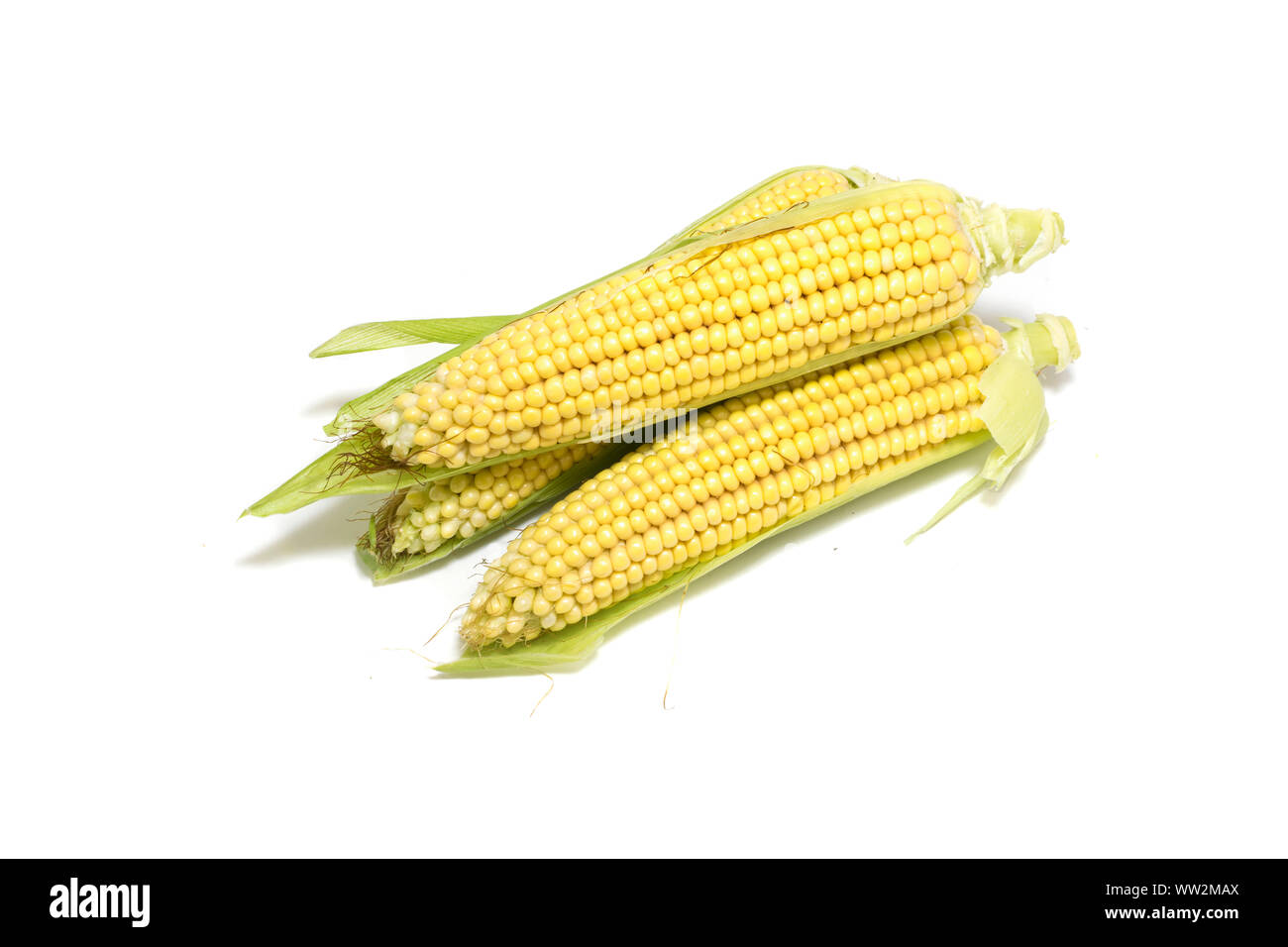 Fresh corns isolated on white background Stock Photo - Alamy