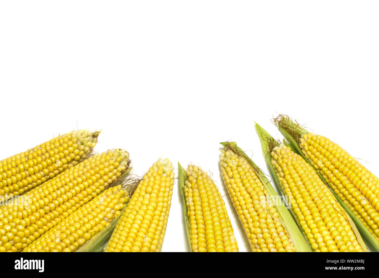 Fresh corns isolated on white background with copy space Stock Photo ...