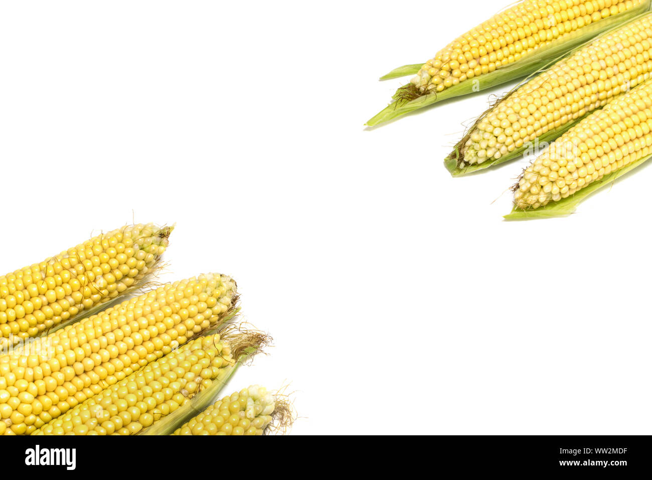 Fresh corns isolated on white background with copy space Stock Photo ...