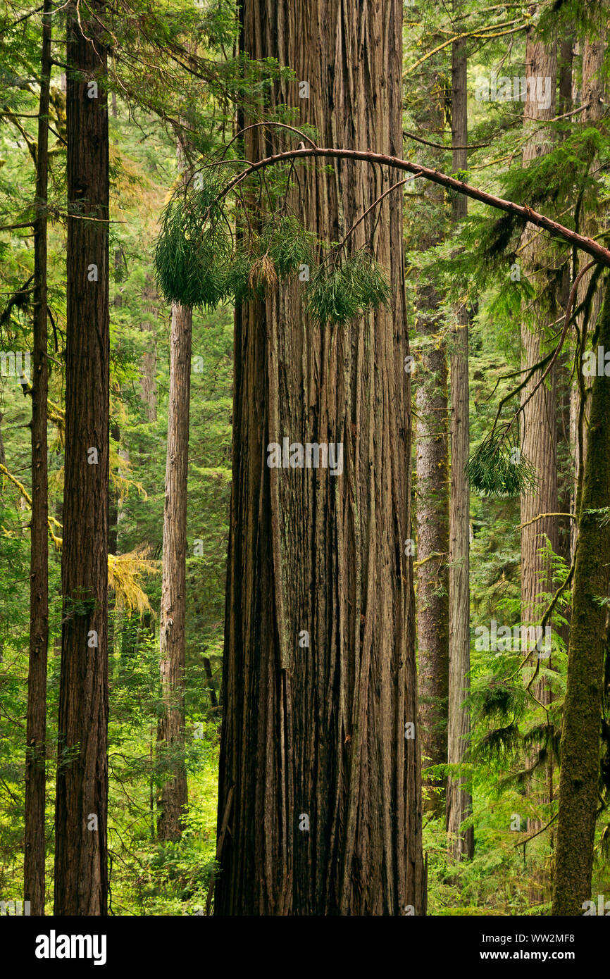 James irvine hi-res stock photography and images - Alamy