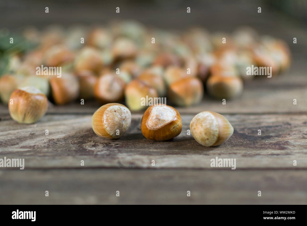 Hazel wood texture hi-res stock photography and images - Alamy