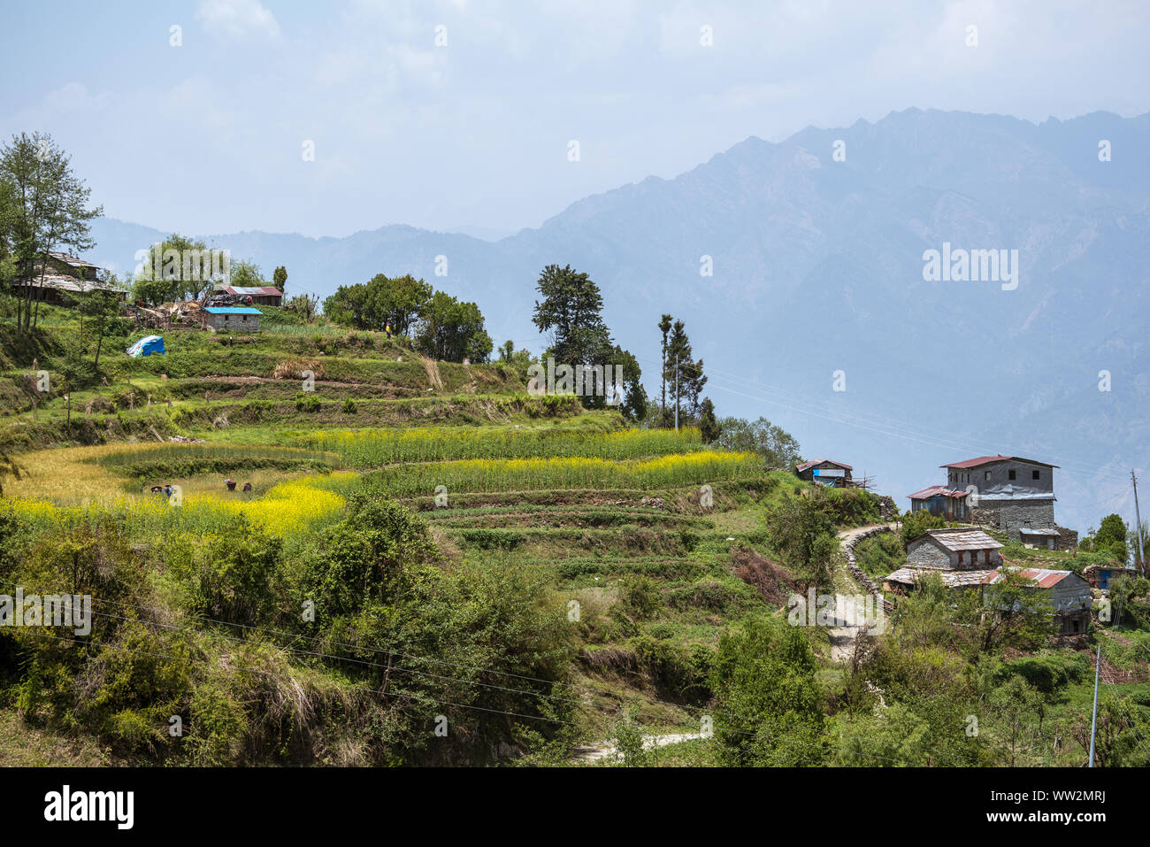Valley of Ghar Khola river in vicinities of Ghara village, Annapurna ...