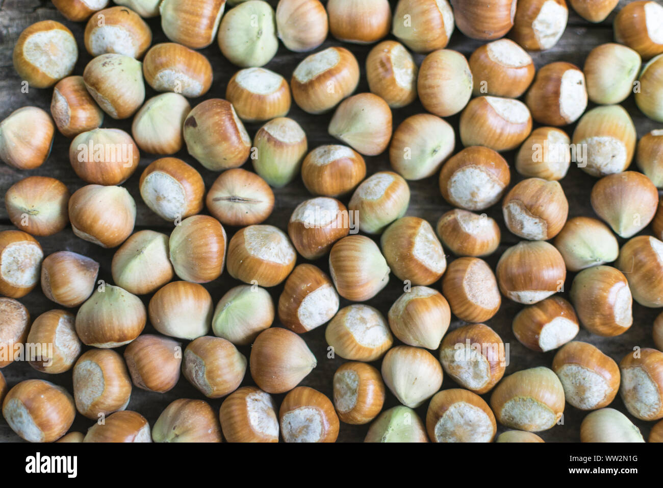 Hazel wood texture hi-res stock photography and images - Alamy