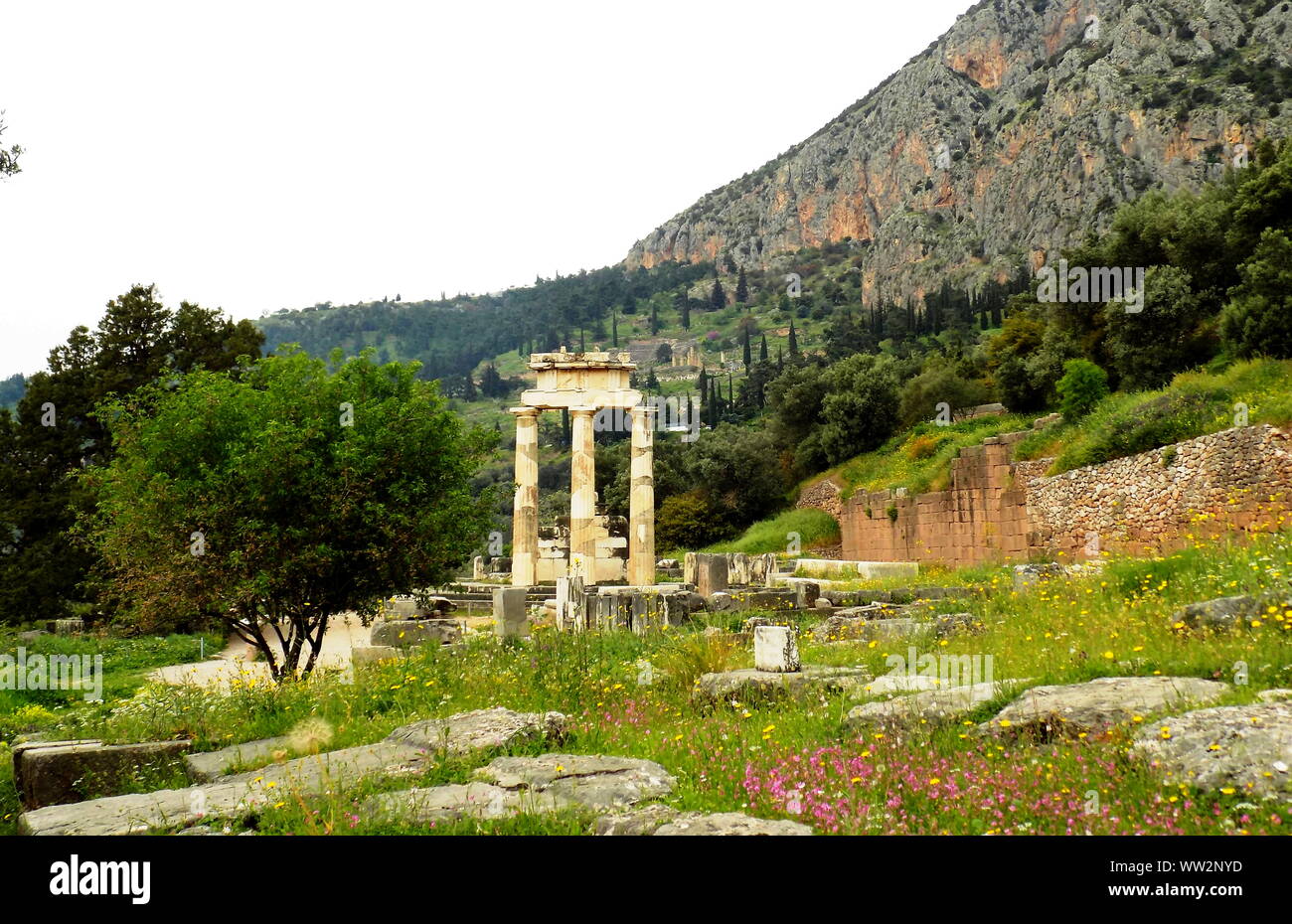 ancient, archeological, place, Delphi, Greece, old, marble, statues ...