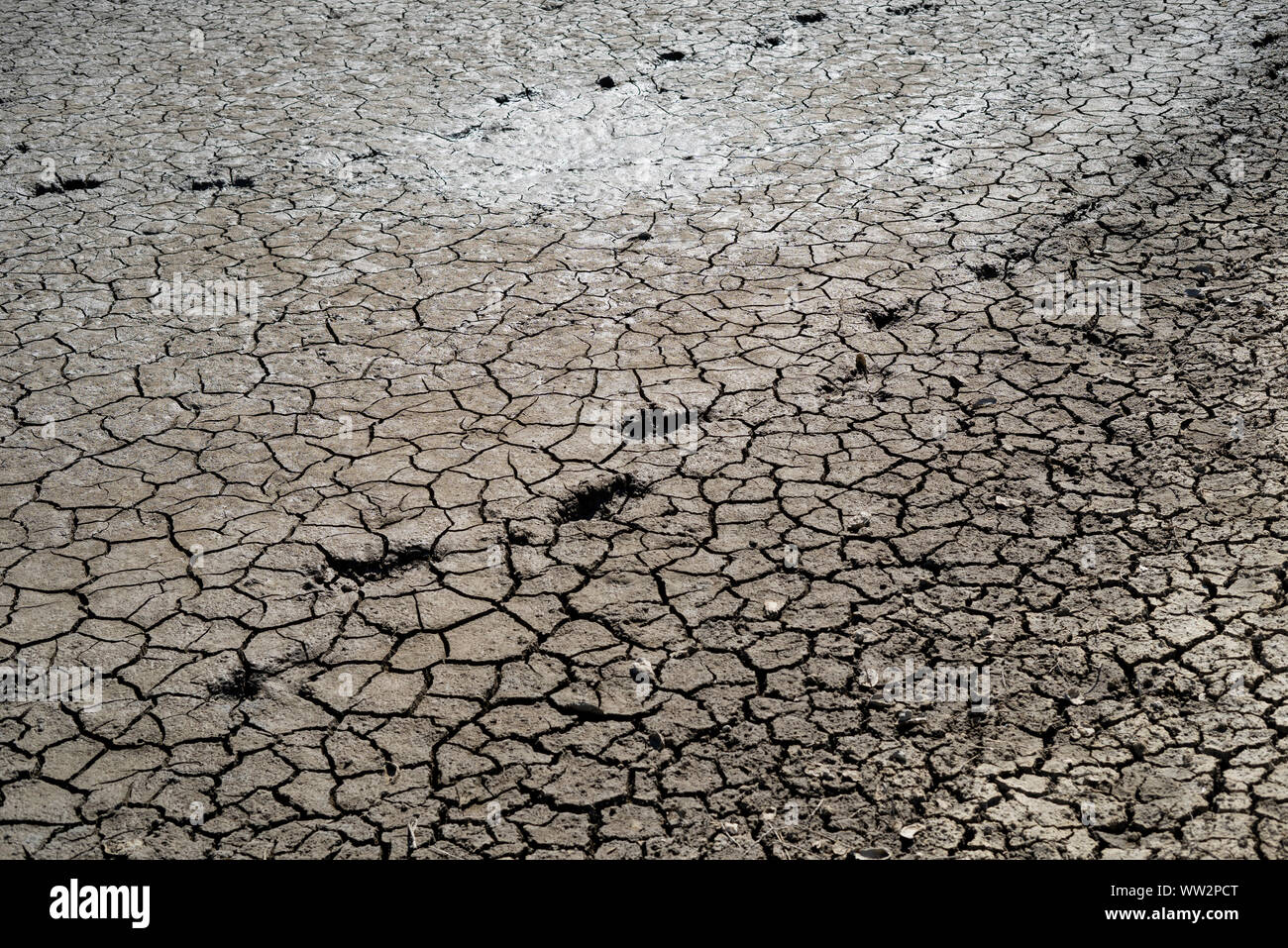 Drought images hi-res stock photography and images - Alamy