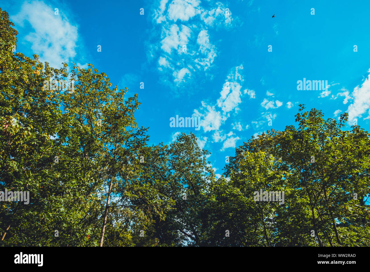 People park high angle low sun hi-res stock photography and images - Alamy