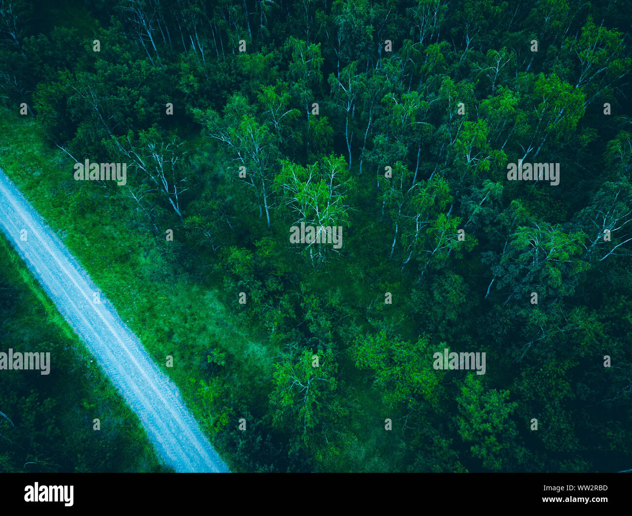 Lone path hi-res stock photography and images - Alamy